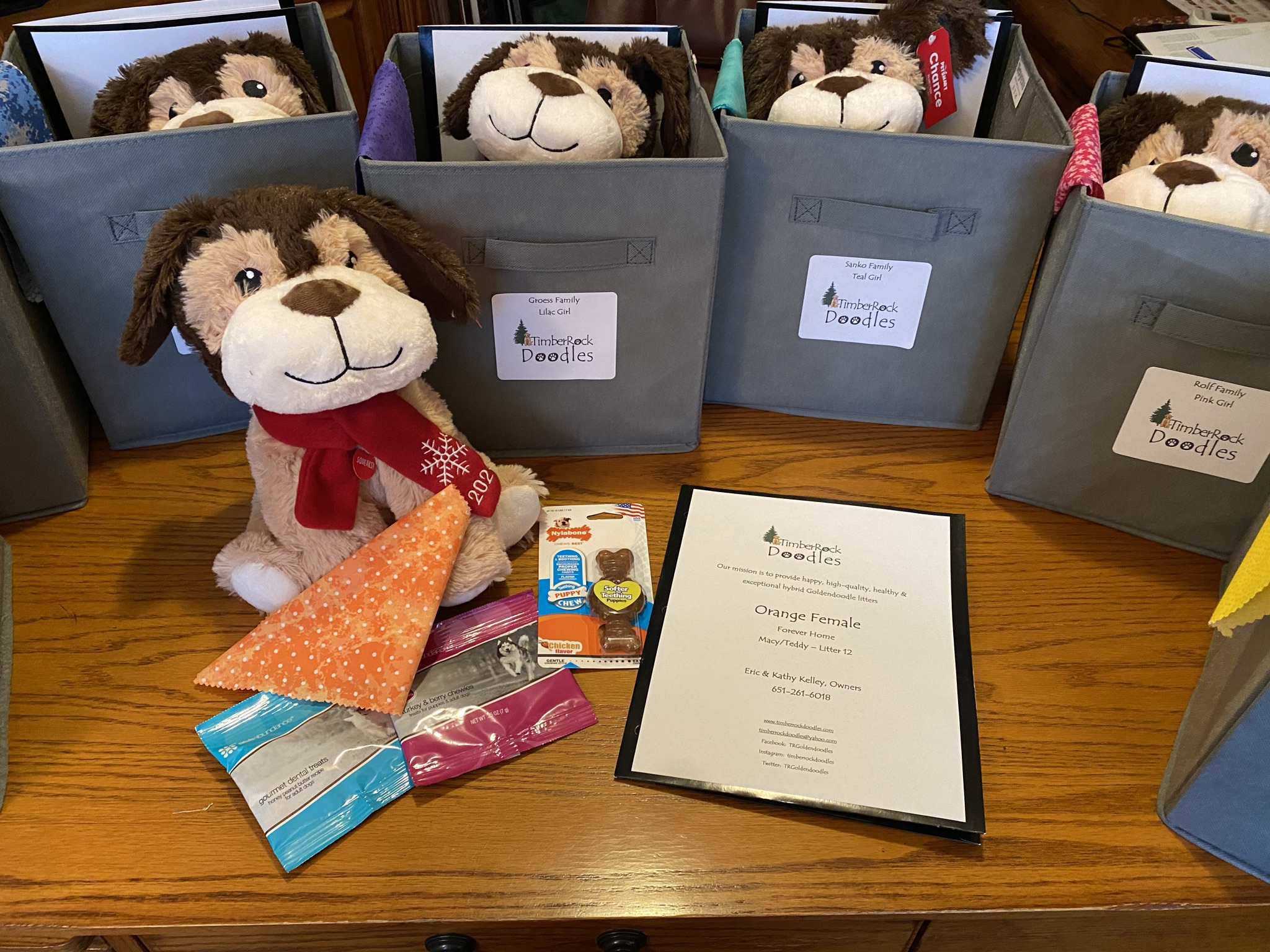 Puppy Pricing & Puppy Package - Timber Rock Doodles